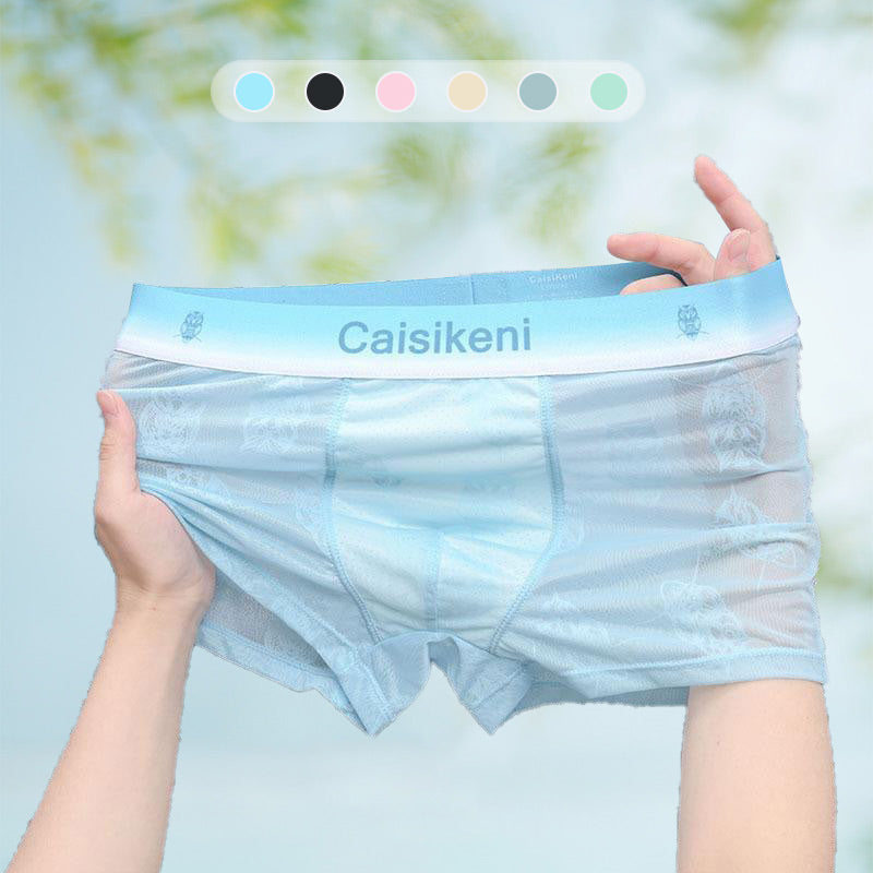 Men's Cooling Breathable Elastic Waistband Boxer Briefs – aimtoyou